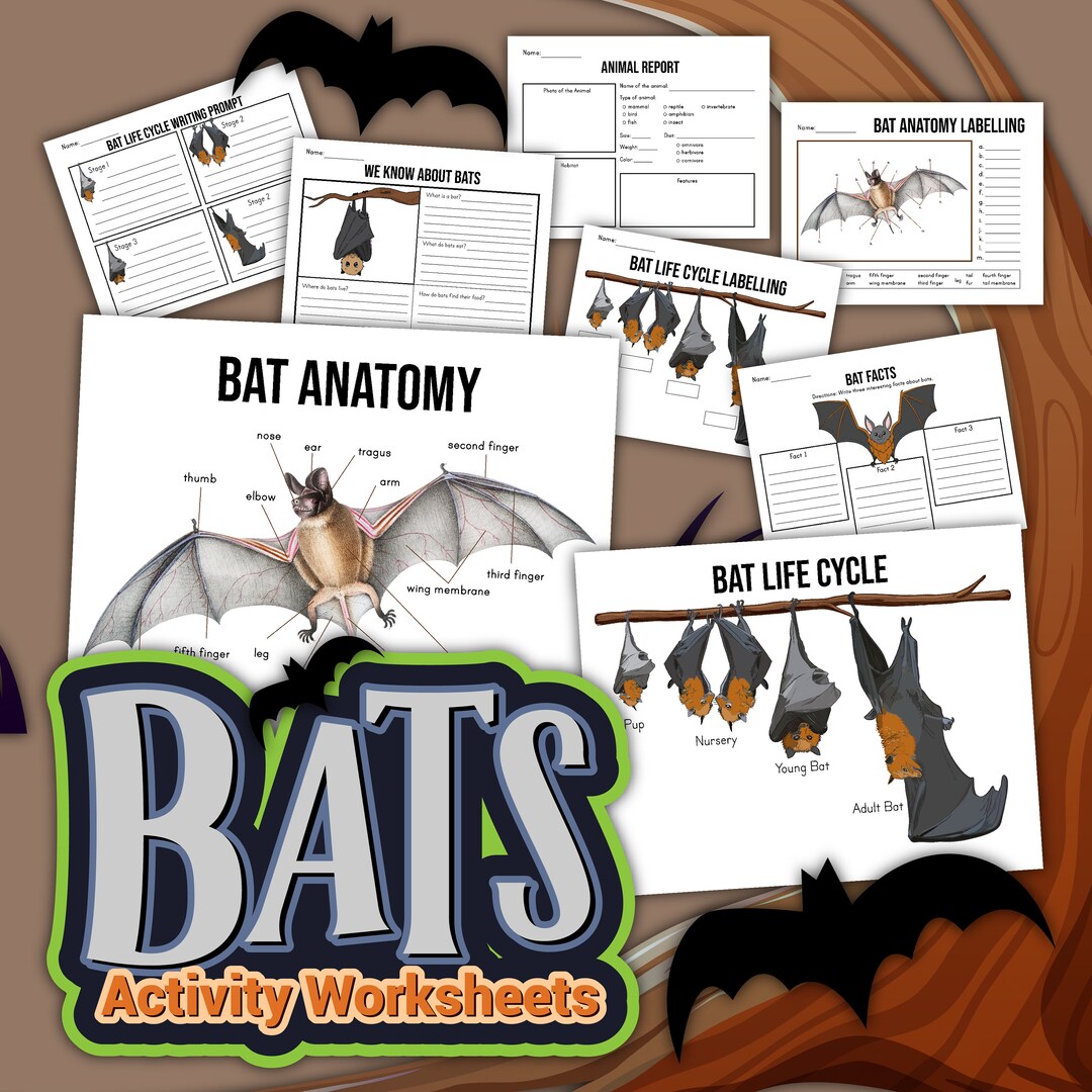 Bats Activity Worksheets, Bats, Digital Download, Instant Download ...