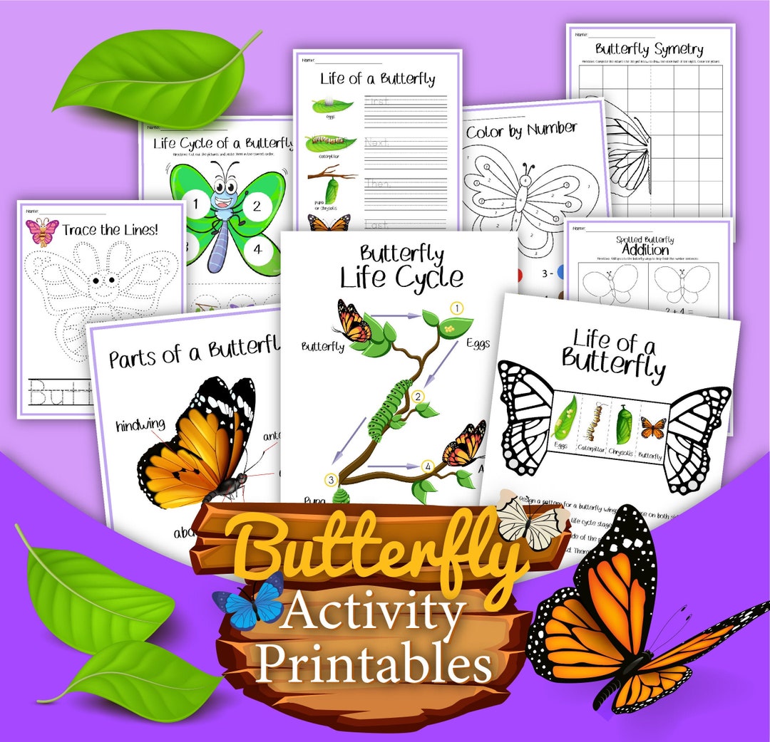 Butterfly Activity Set, Instant Download, Life Cycle, STEM Workbook ...