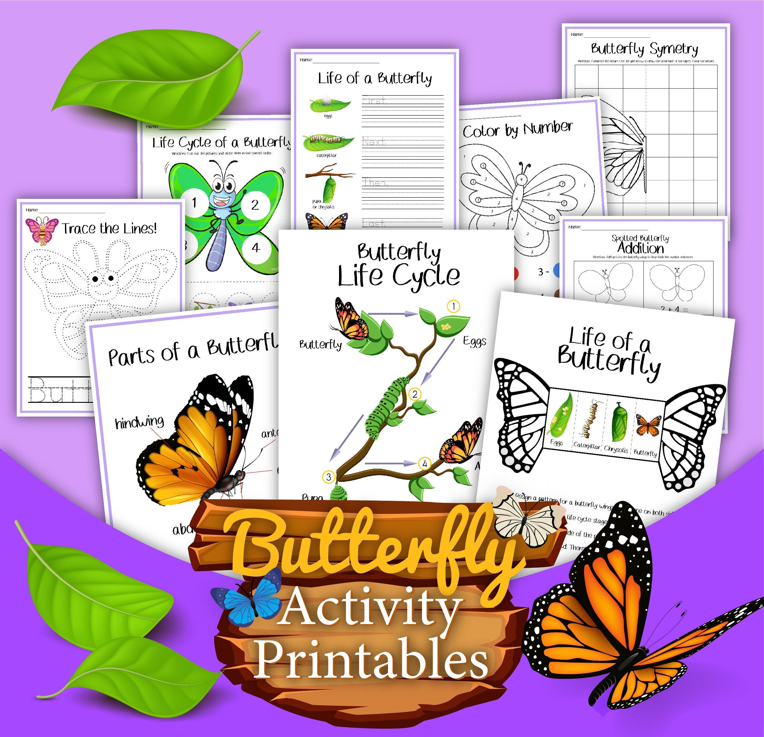 Butterfly Activity Set, Instant Download, Life Cycle, STEM Workbook ...