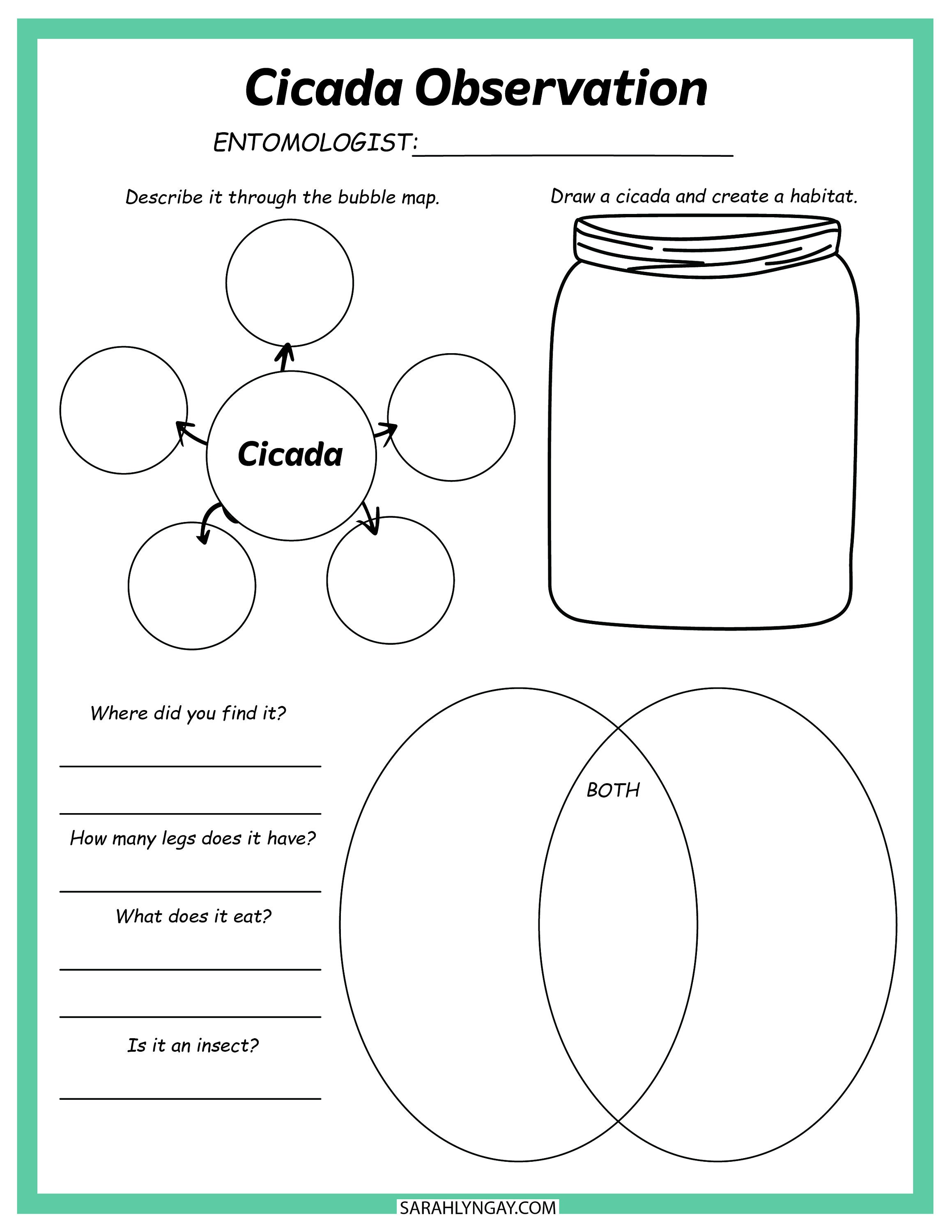 Cicada Unit Study, Cicada Workbook, Digital Download, Instant Download ...