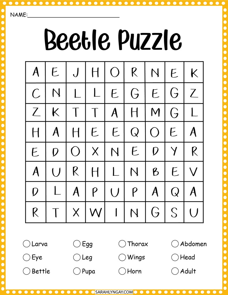 Life Cycle of a Beetle, Instant Download, STEM Workbook, Digital ...