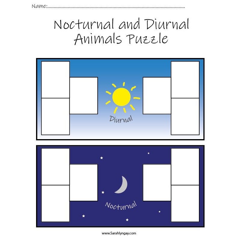Nocturnal and Diurnal Animals Worksheet Set, Printable Lesson Plan ...