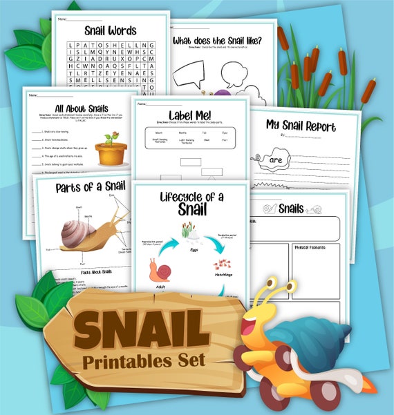 Snails All About Snails Instant Download STEM Workbook - Etsy