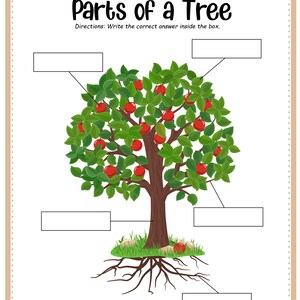 Tree Life Cycle, Trees, Instant Download, Digital Download, Kid’s ...