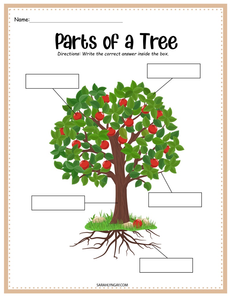 Tree Life Cycle, Trees, Instant Download, Digital Download, Kid’s ...