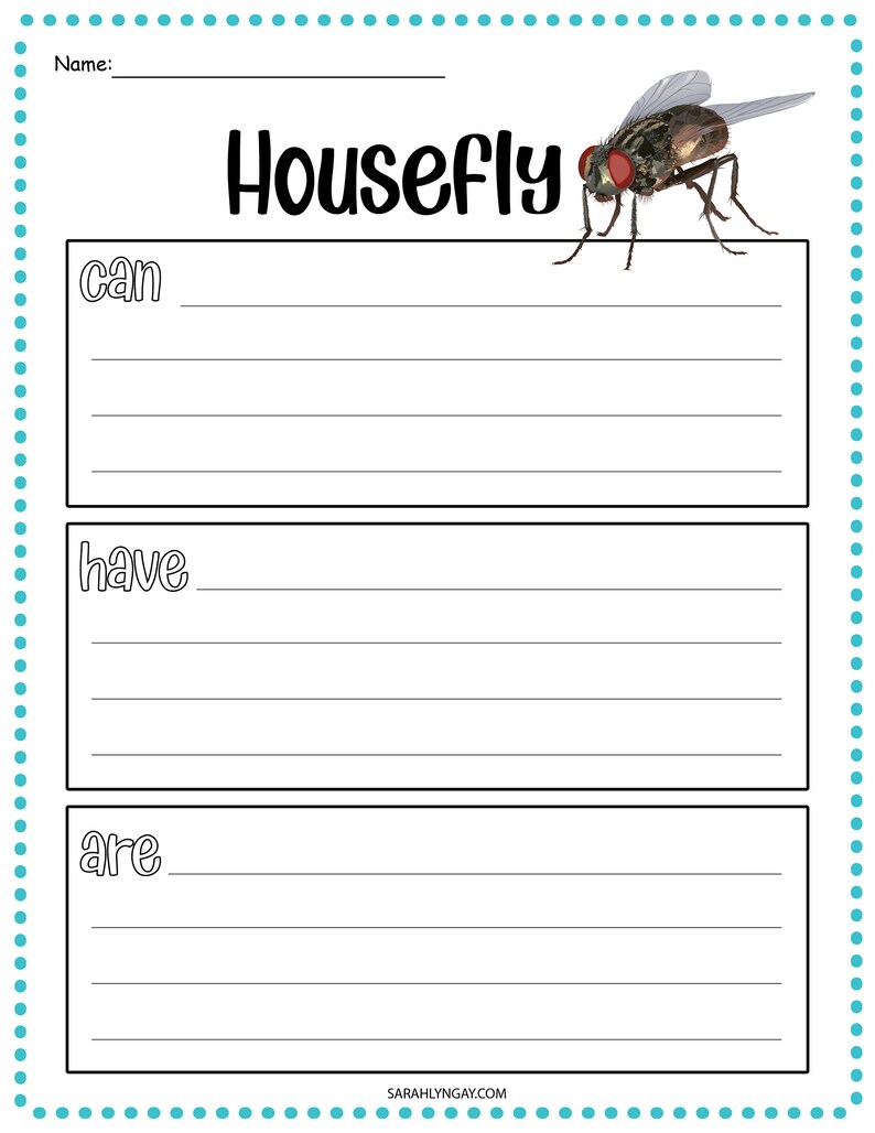 Housefly Life Cycle, Instant Download, STEM Workbook, Digital Download ...