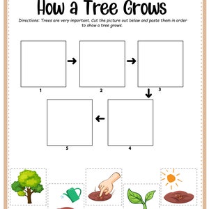 Tree Life Cycle, Trees, Instant Download, Digital Download, Kid’s ...