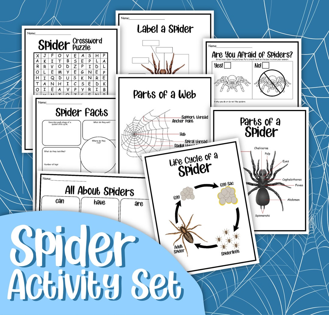 Spiders, Spiderlife Cycle, Instant Download, Digital Download, Kids ...
