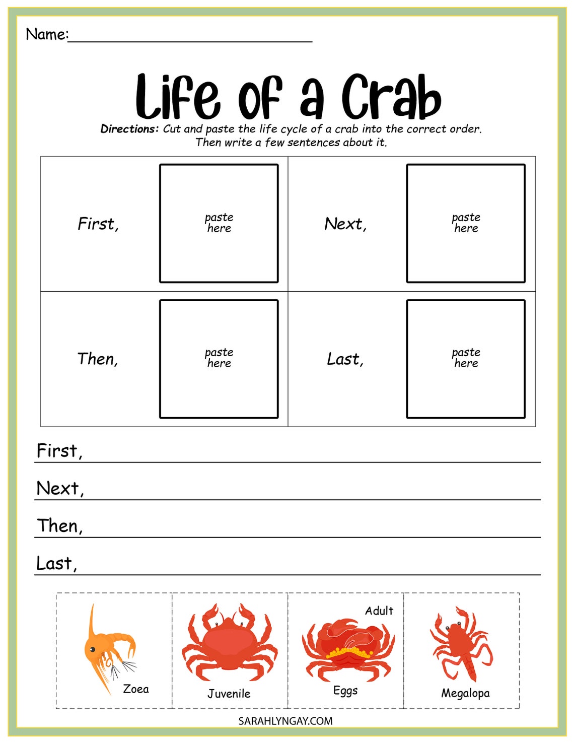 Crab Life Cycle, Crabs, All About Crabs, Instant Download, STEM ...