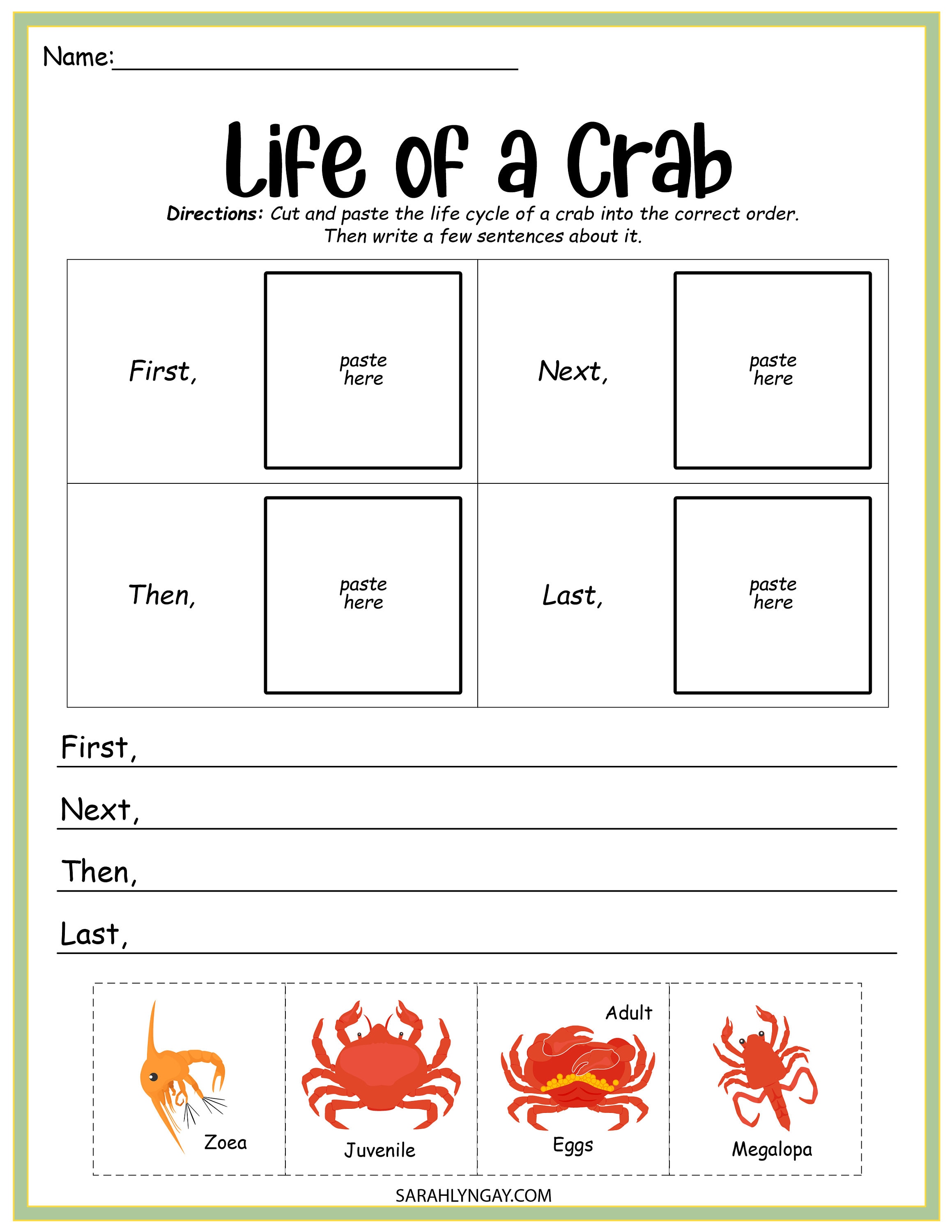 Crab Life Cycle, Crabs, All About Crabs, Instant Download, STEM ...