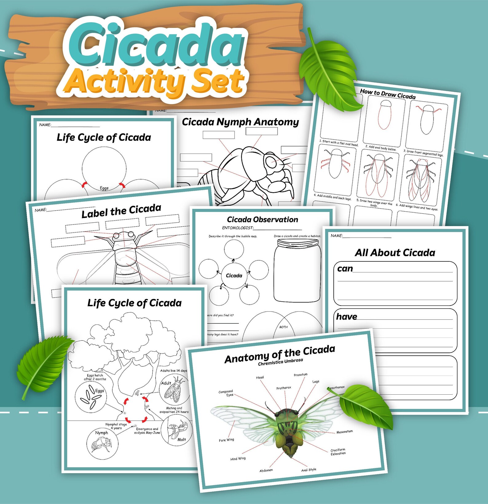 Cicada Unit Study, Cicada Workbook, Digital Download, Instant Download ...
