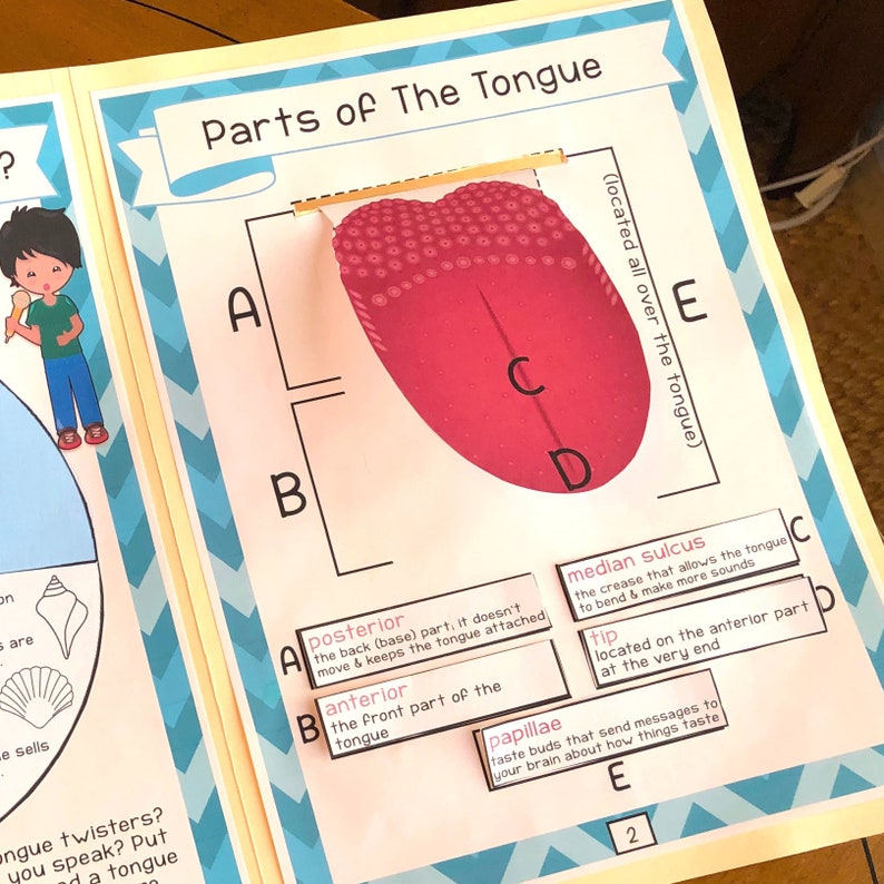 Tongue Activity Book - Etsy