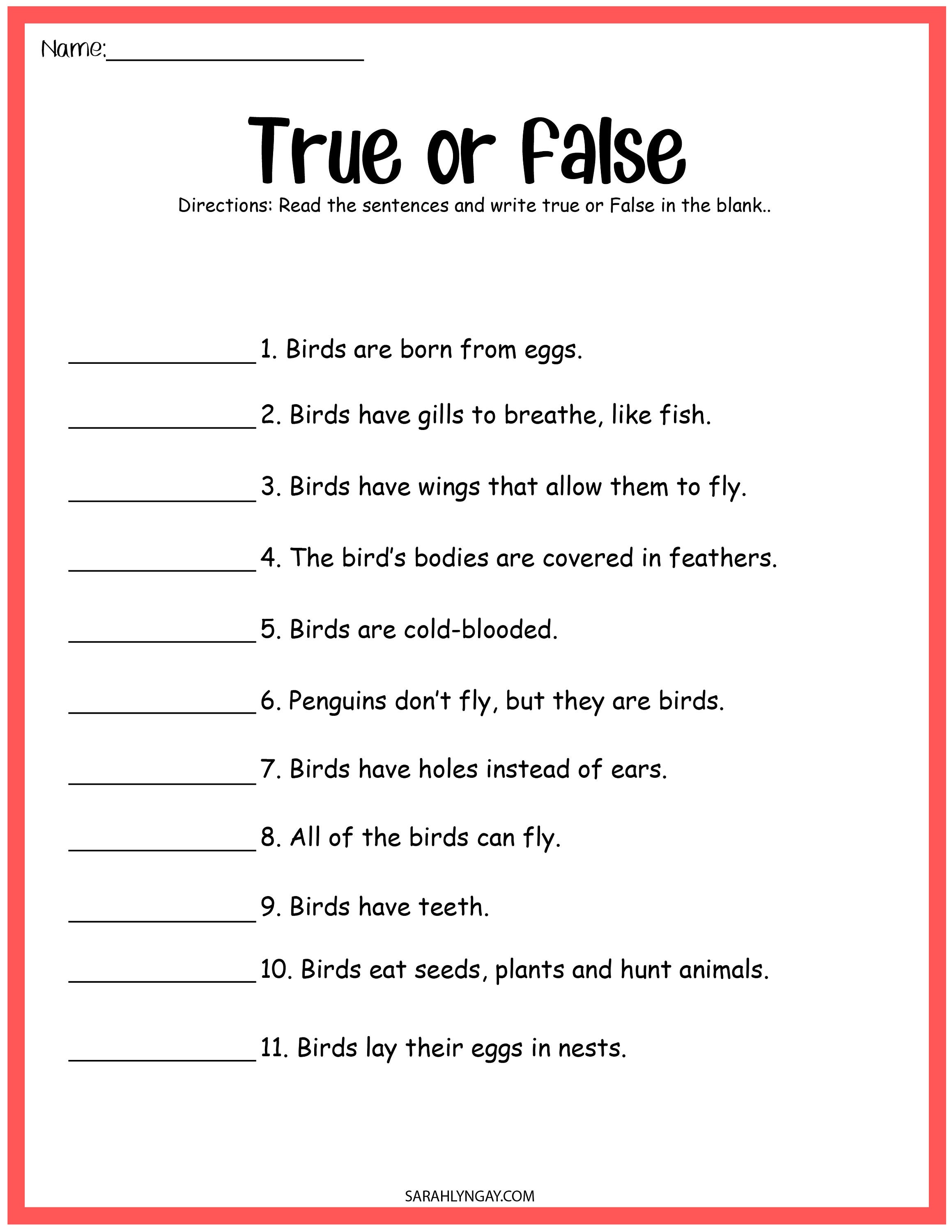 Bird Life Cycle, Birds, All About Birds, Instant Download, STEM ...