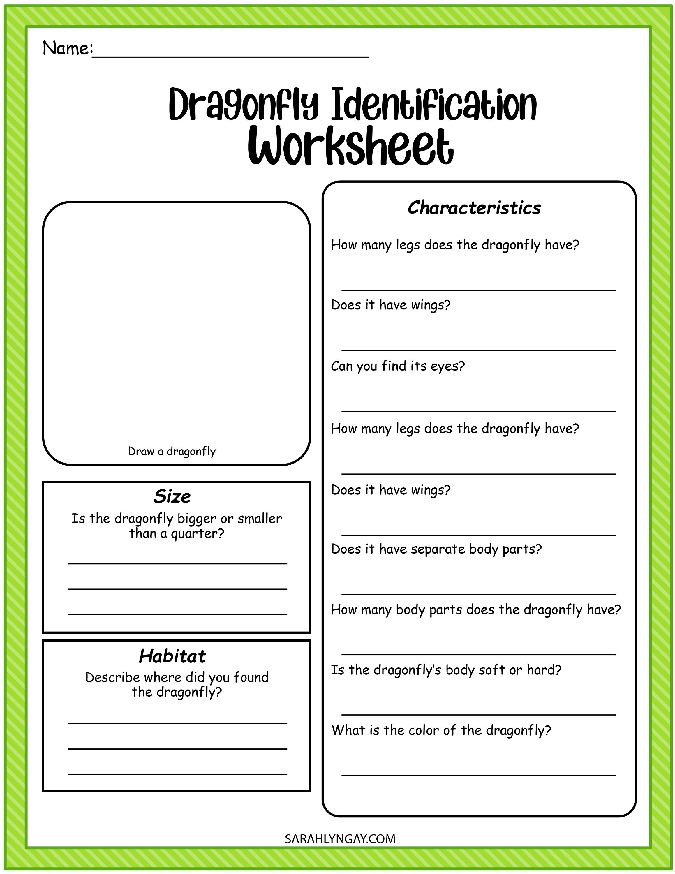 Dragonfly, Dragonfly Life Cycle, Instant Download, Digital Download ...