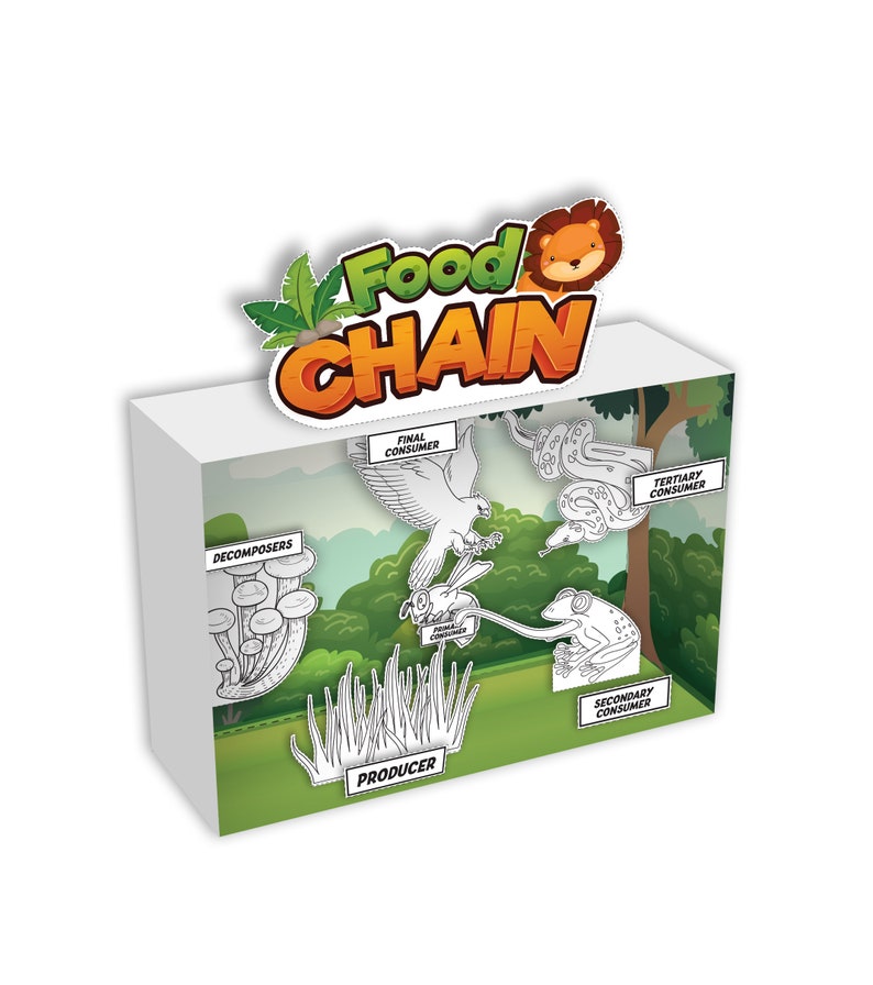 Food Chain Diorama, Food Chain, Diorama, Digital Download, Instant ...