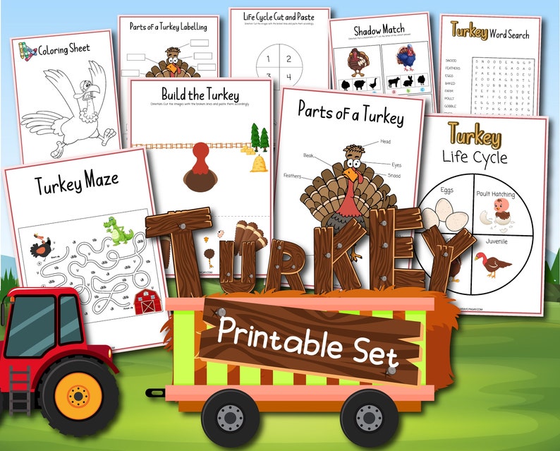 Turkey Life Cycle, All About Turkeys, Parts of a Turkey, Instant ...