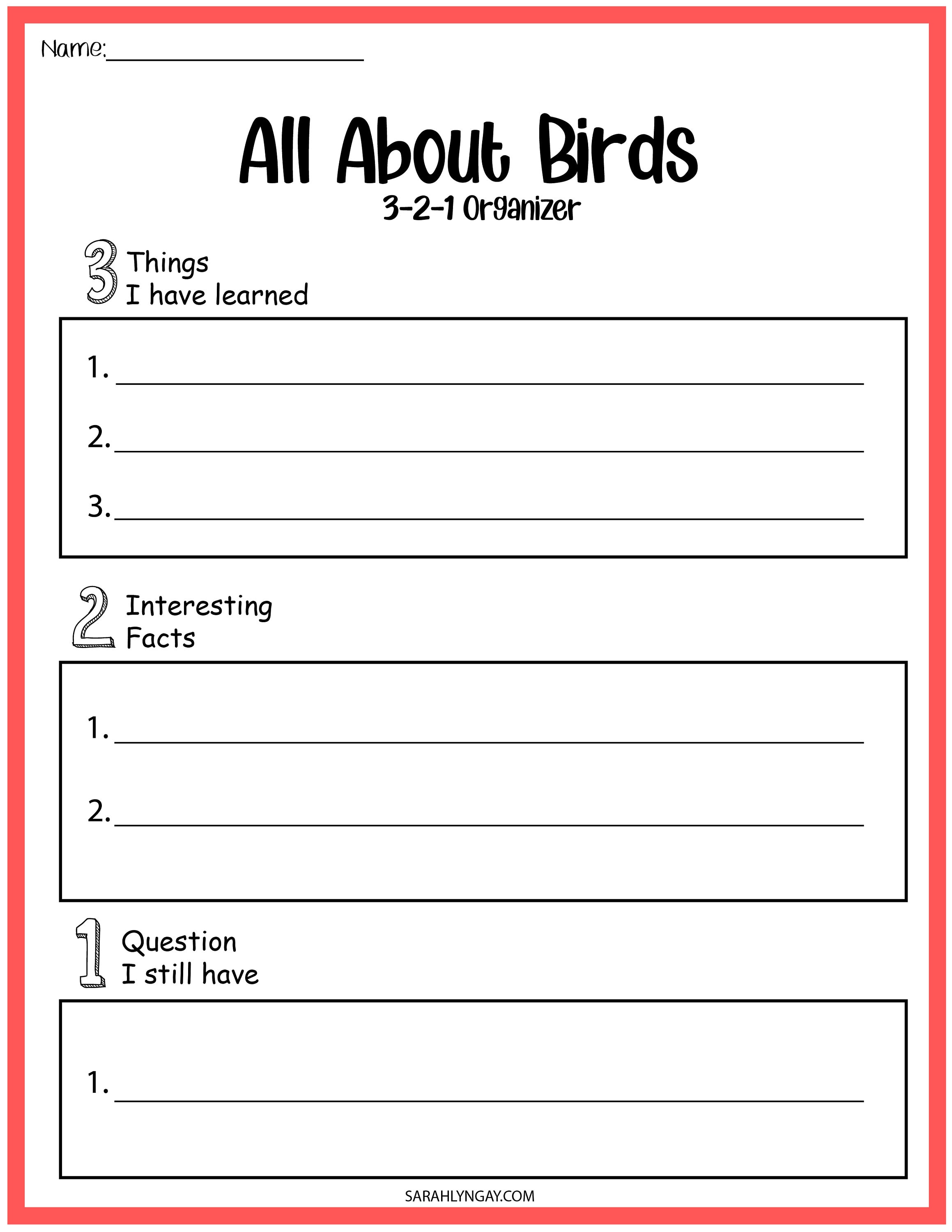 Bird Life Cycle, Birds, All About Birds, Instant Download, STEM ...