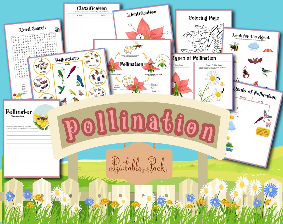 Pollination Set, Pollination, Instant Download, Kid’s Workbook, STEM ...