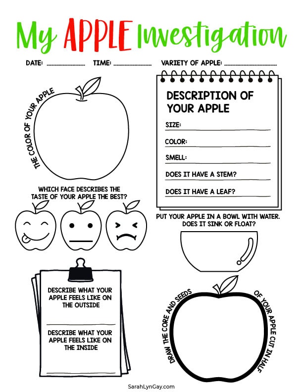 Apple Investigation Printable
