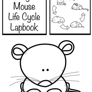 Mouse Lifecycle Lapbook, Mouse Lifecycle, Lapbook, Digital Download ...