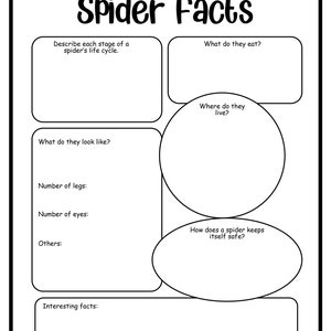 Spiders, Spiderlife Cycle, Instant Download, Digital Download, Kids ...