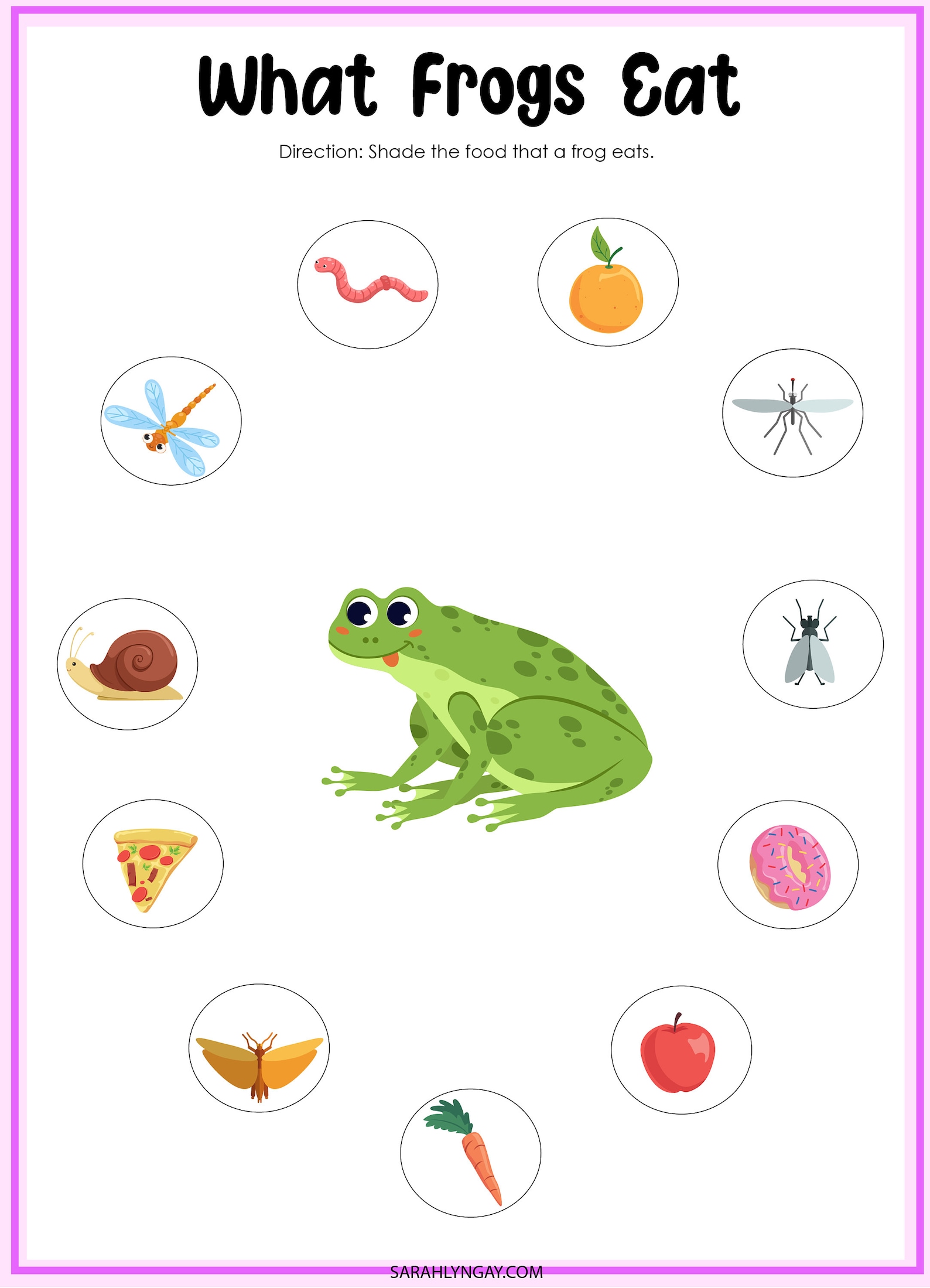 All About Frogs Kids Set, Frogs, Instant Download, Digital Download ...