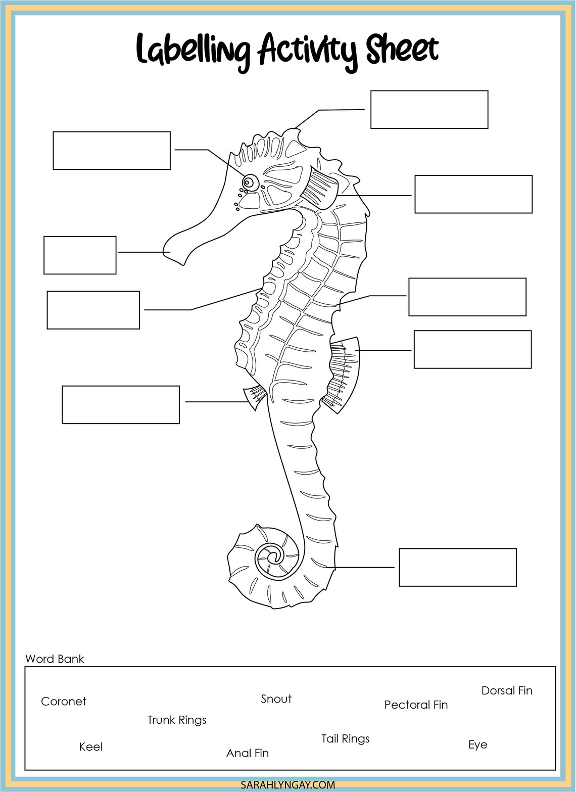 Seahorses Seahorse Lifecycle Seahorse Facts Digital - Etsy