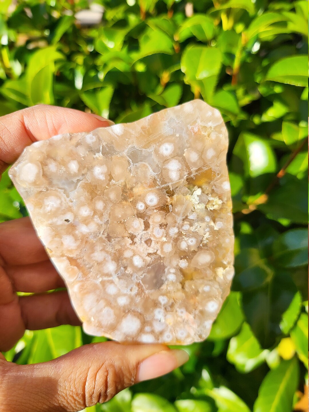 Natural Flower Agate Slab, Cherry Blossom Agate Slice, Cherry Agate ...