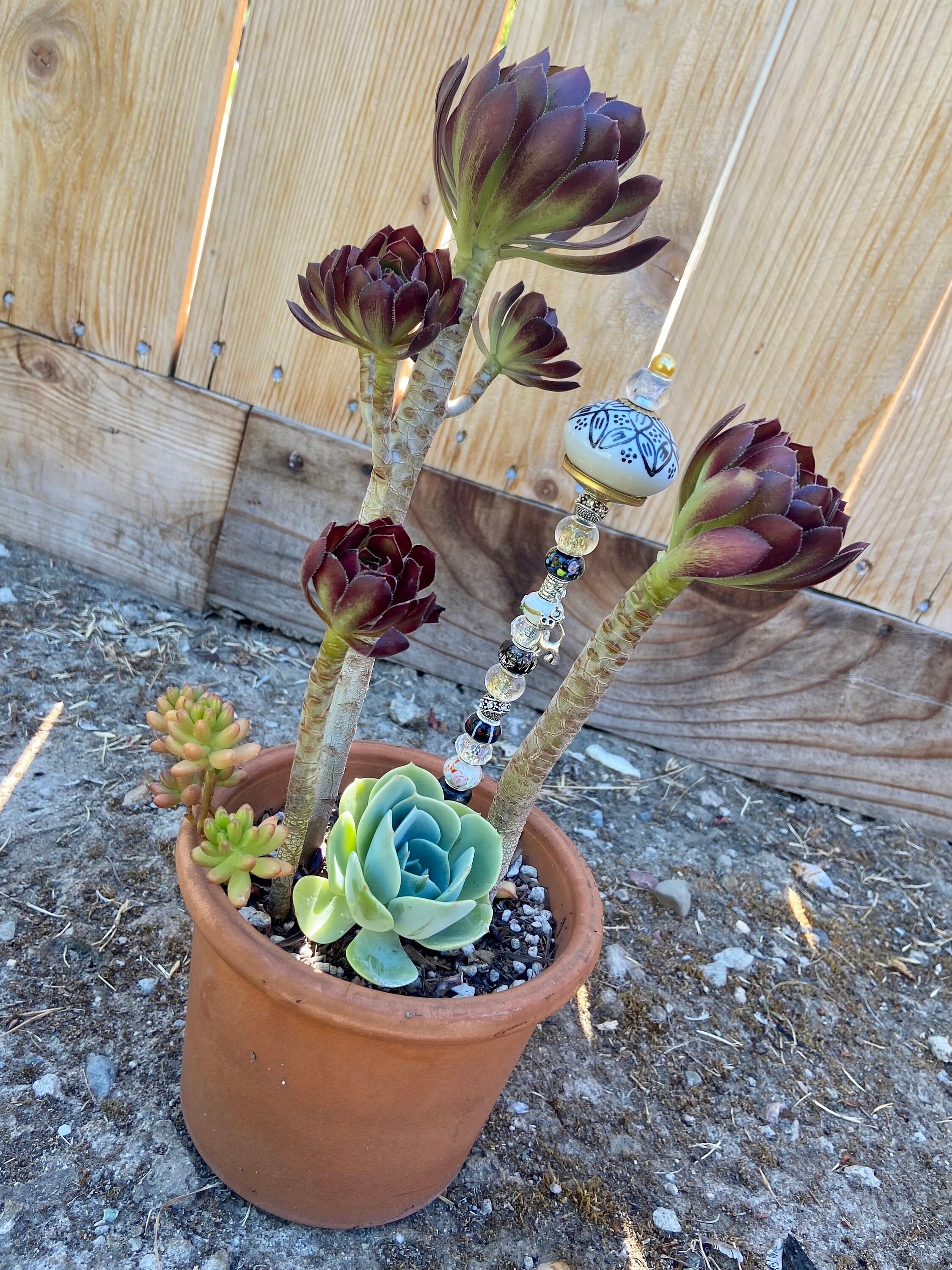 Plant Jewelry Fairy Garden Stakes - Etsy