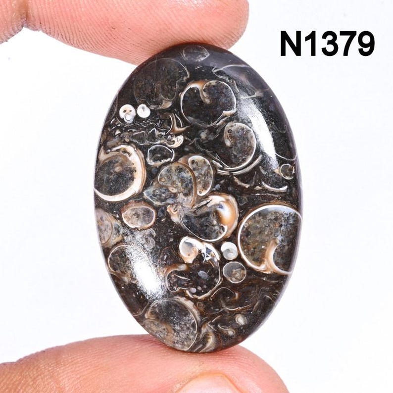 Cabujón de ágata Turritella natural, piedra preciosa fosilizada - Etsy ...