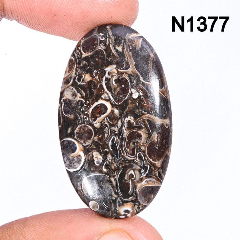 Cabujón de ágata Turritella natural, piedra preciosa fosilizada - Etsy ...