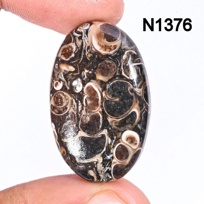 Cabujón de ágata Turritella natural, piedra preciosa fosilizada - Etsy ...