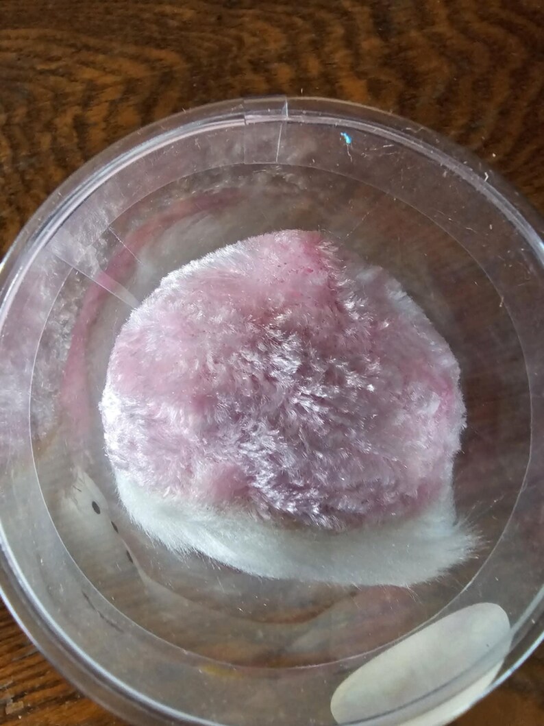 Rare Pink Winter Hello Kitty BOBBLE HEAD 2004 Limited Edition original ...