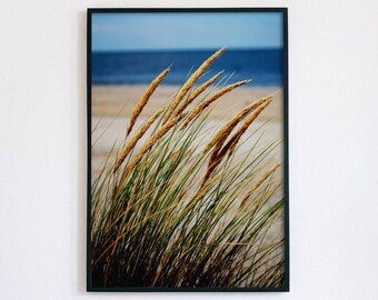 Blue Seagrass Wall Art - Etsy