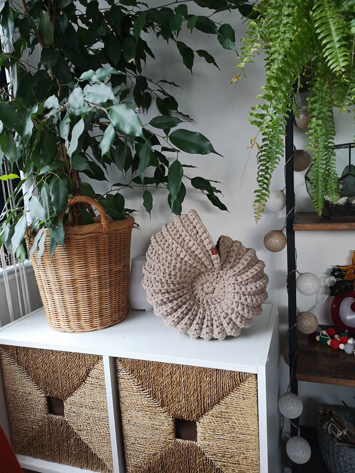 Crochet Ammonite Basket/ Plant Basket/ Air Plant Holder/ Crochet Plant ...