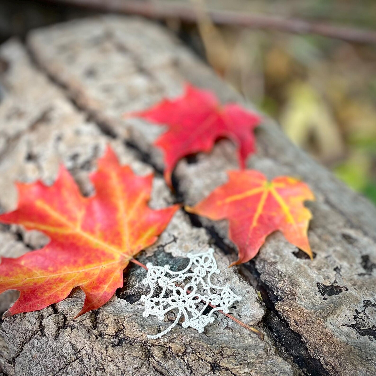 Flame of the Forest — an Elegant Maple Leaf Tatting Pattern for Lace ...