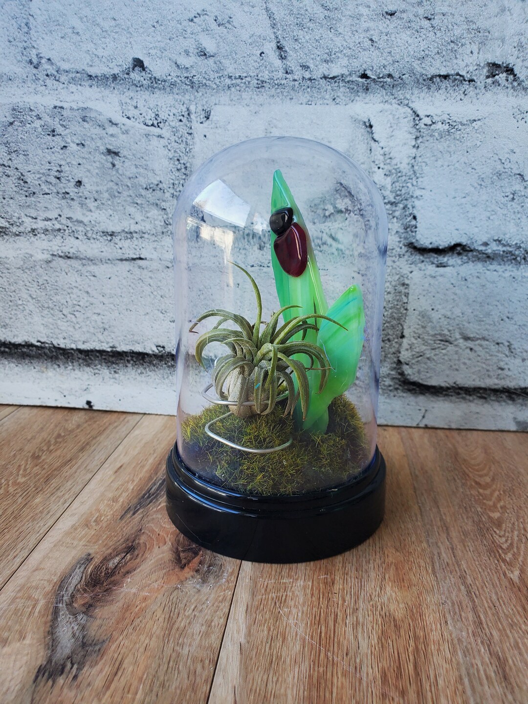 Fused Glass Air Plant Terrarium | Dome Garden Decor With Ladybug ...