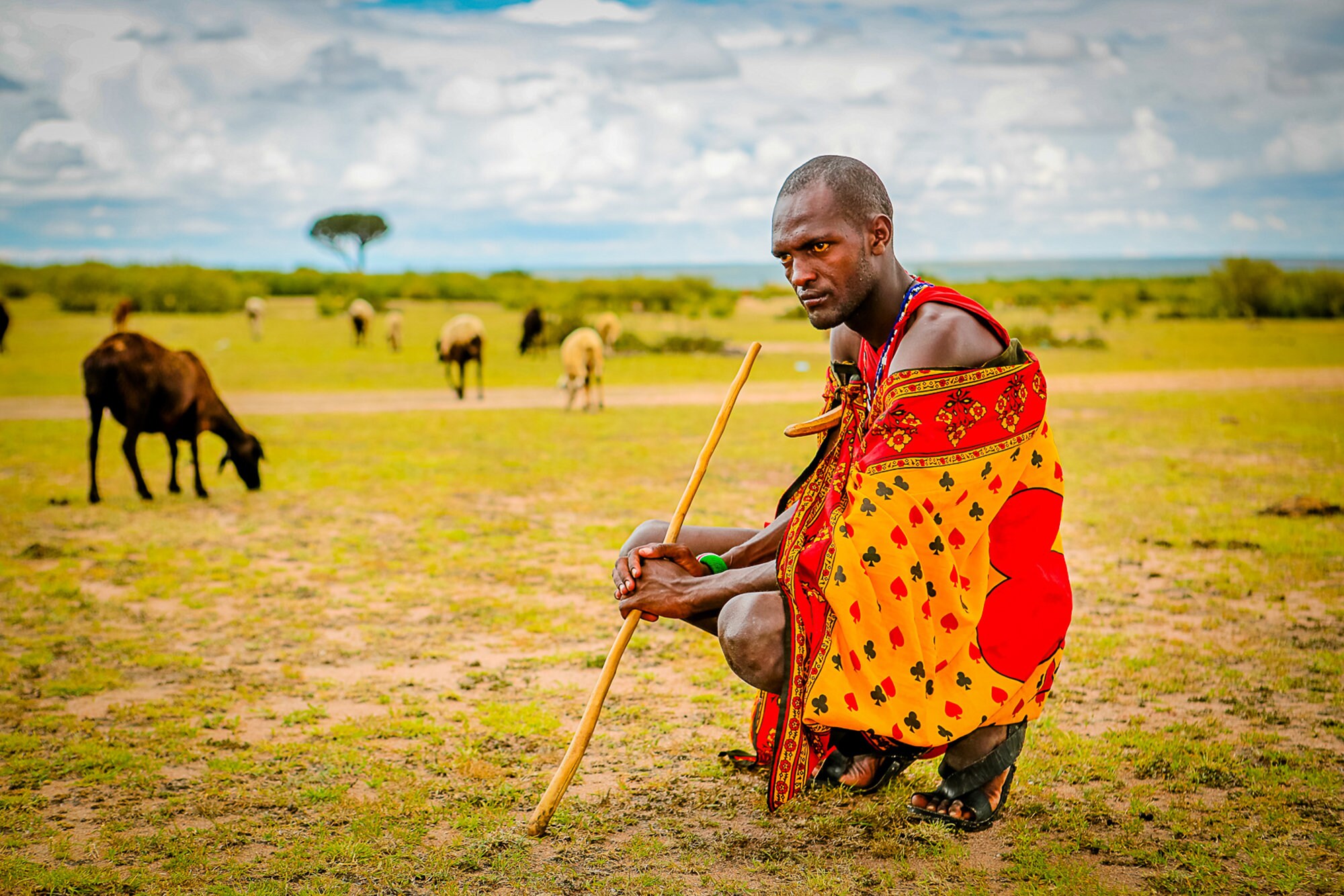 Maasai Tribe Leader in Masai Mara Kenya Canvas Print, Africa Wall Art ...