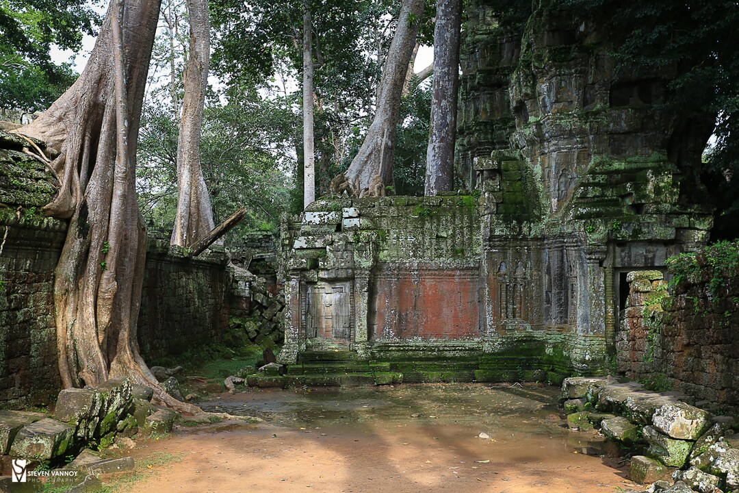 Ta Prohm Temple, Cambodia, Canvas Print, Fine Art Photography, Large ...