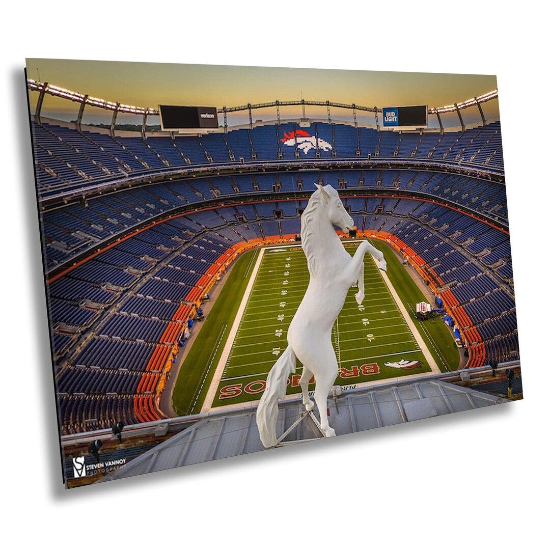 Empower Field Bucky Bronco Photo Print, Denver Stadium Art - Etsy