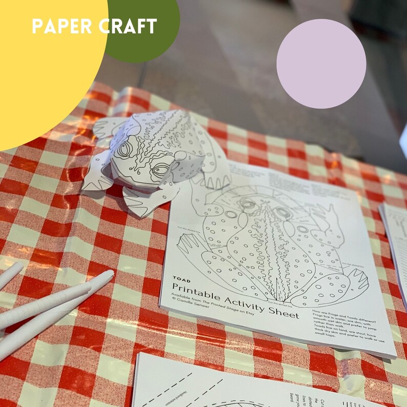 Toad Printable Activity Sheet A4 PDF Foldable Paper Craft Decorations ...