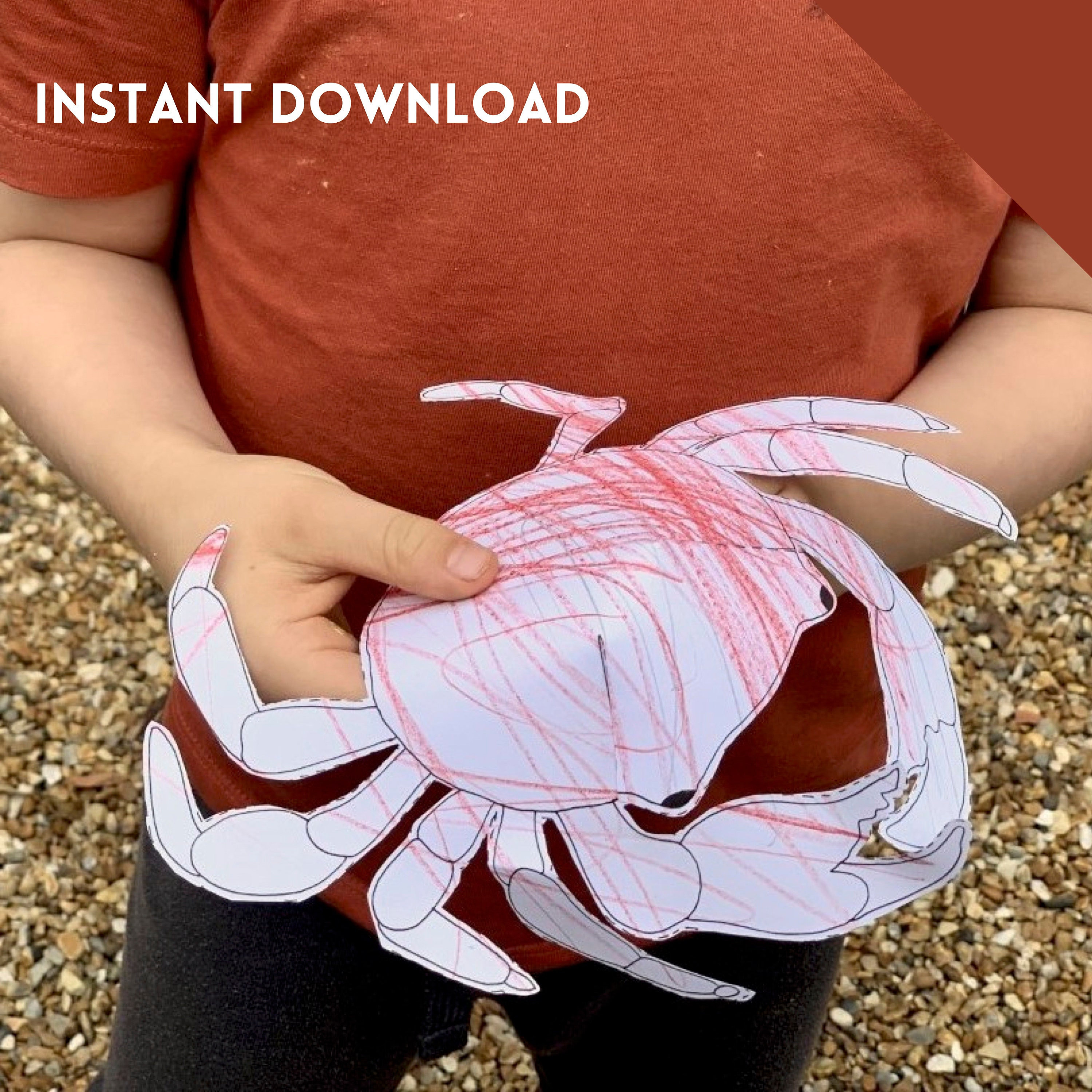 Crab Printable Activity Sheet (A4 PDF) - Kids Craft - Foldable Paper ...