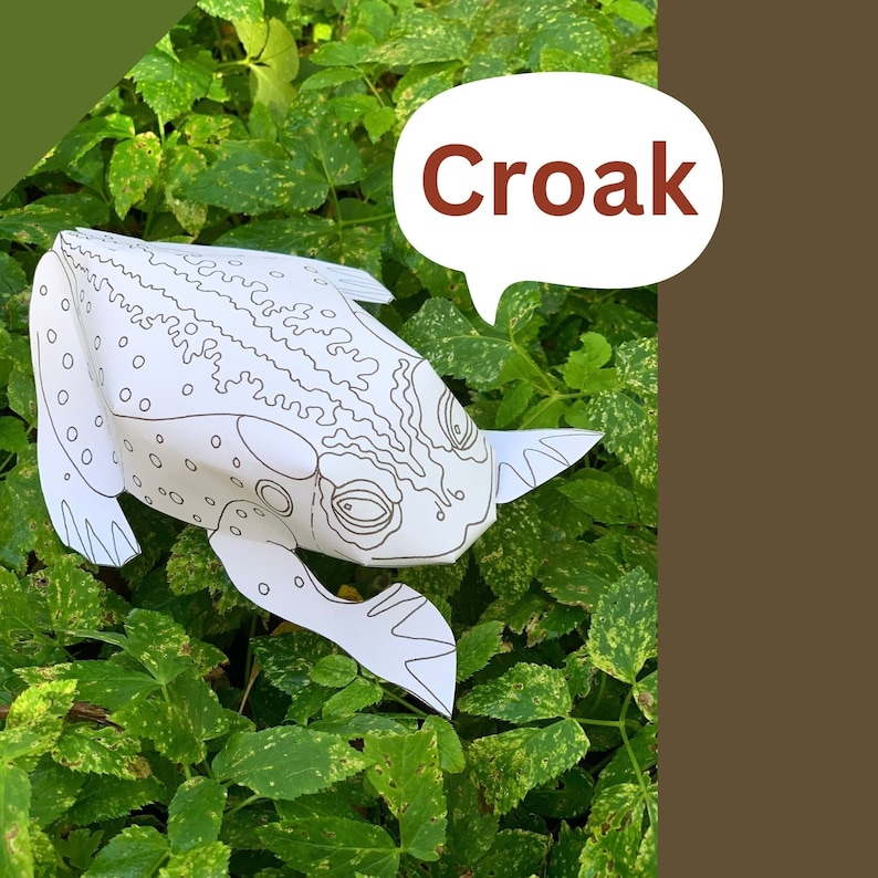 Toad Printable Activity Sheet (A4 PDF) - Foldable Paper Craft ...