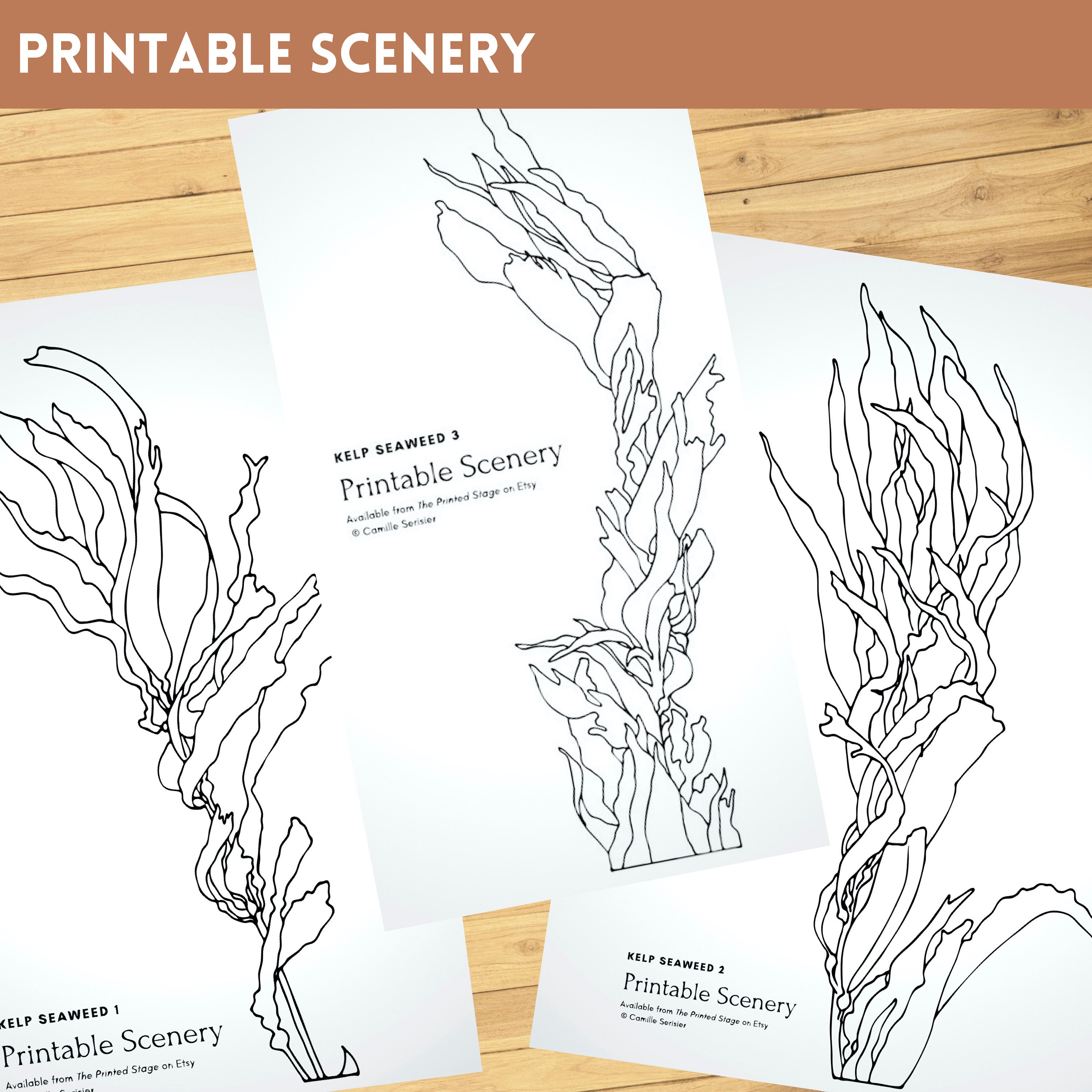 Kelp Seaweed Printable Scenery (PNG) - Wall Art - Sea Decoration ...