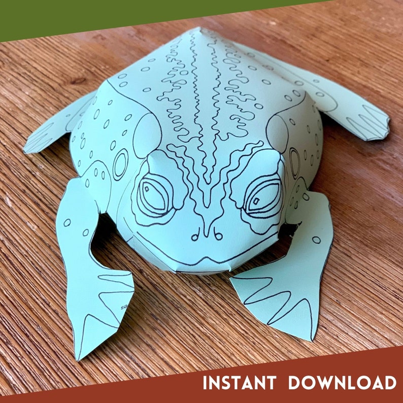 Toad Printable Activity Sheet A4 PDF Foldable Paper Craft - Etsy