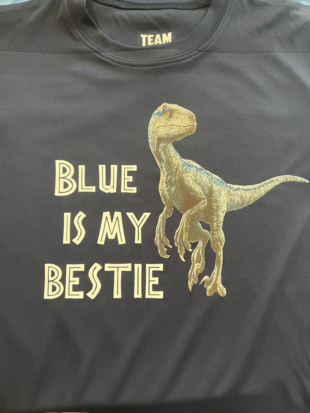 Blue is My Bestie Raptor Friend I Love Raptors Blue the Raptor - Etsy