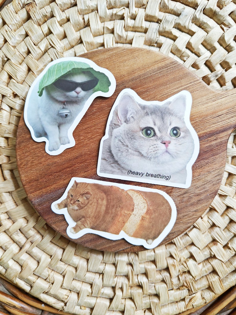 25 Viral Cat Meme Sticker Pack Funny Cute Cat Stickers Die - Etsy