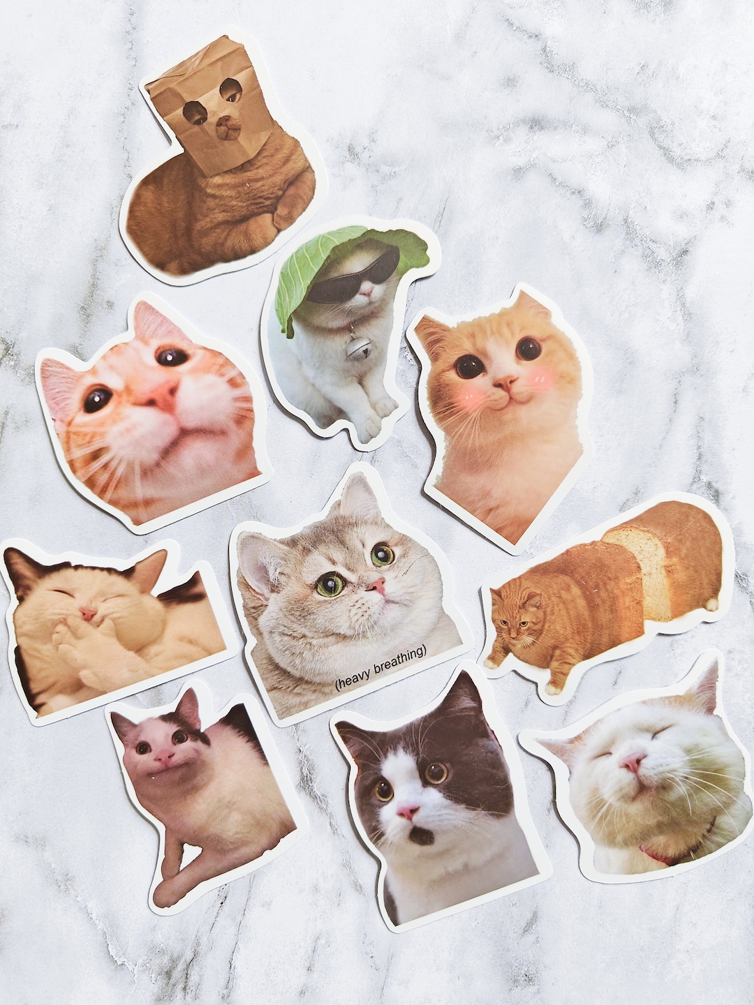 25 Viral Cat Meme Sticker Pack Funny Cute Cat Stickers Die - Etsy