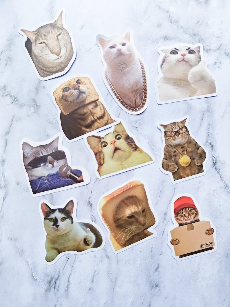 25 Viral Cat Meme Sticker Pack Funny Cute Cat Stickers Die - Etsy