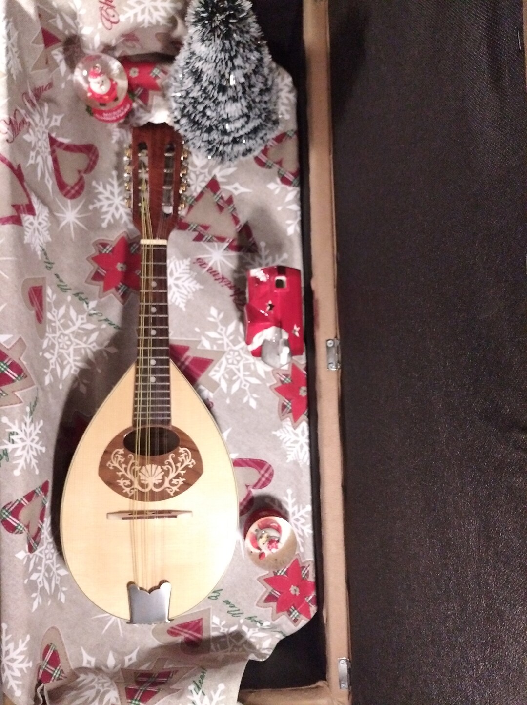 Mandolin Plate for Saleinstrument Scale 34cm/13.40intuning E-A-D-G - Etsy